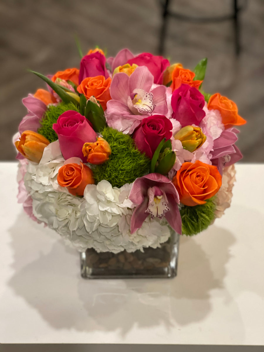 Bright & Cheery – Teatro Verde